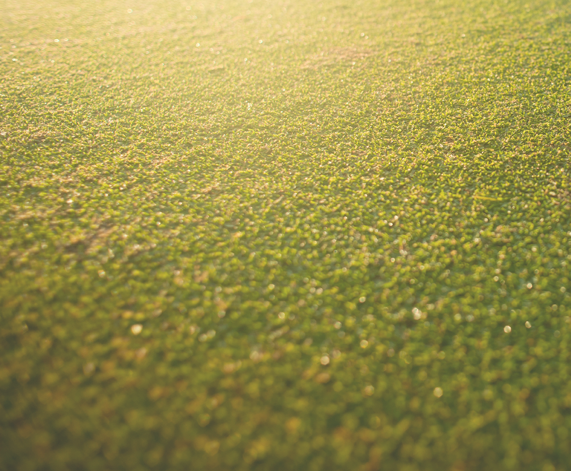 Home - Madison Country Club